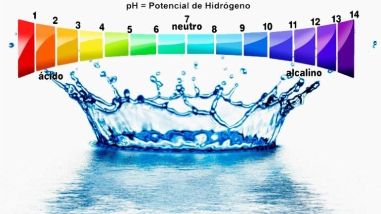 Diferencia Alcalinidad y Ph Alcalino | Locos por las Piscinas